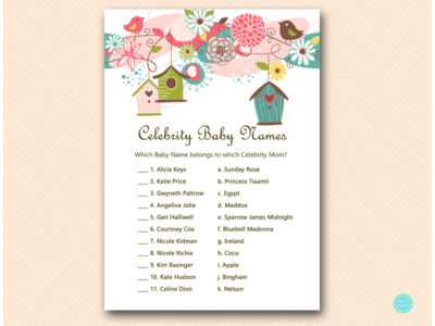 Bird Baby Shower Game Pack - Magical Printable