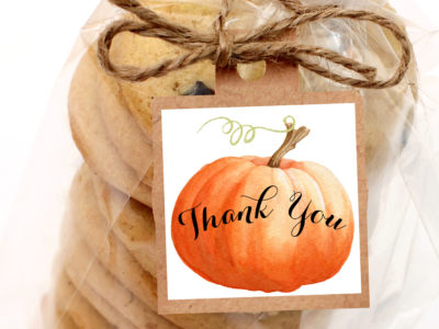 Pumpkin Thank You Favor Tags - Magical Printable