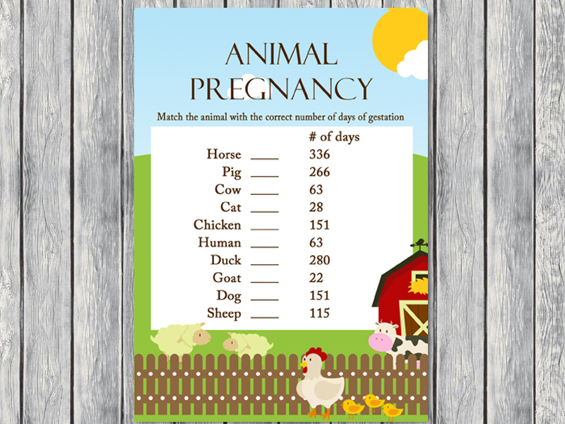 Farm Animal Baby Shower Games Farm Barnyard Animals Cutout | Birthday